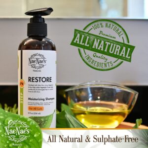 Nae Nae's Naturals Moisturizing Shampoo, Moisturizing Conditioner and Hair Boost