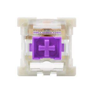 OUTEMU Dust-Proof Purple Switches 3 Pin Key switches Replacement Pack 20 - Gateron& Cherry MX Equivalent DIY Replaceable Switches for Mechanical Gaming Keyboard