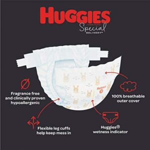 Baby Diapers and Wipes Bundle: Huggies Special Delivery Diapers Size 2, 180ct & Special Delivery Baby Diaper Wipes, Unscented, 6 Push Button Packs (336 Wipes Total)