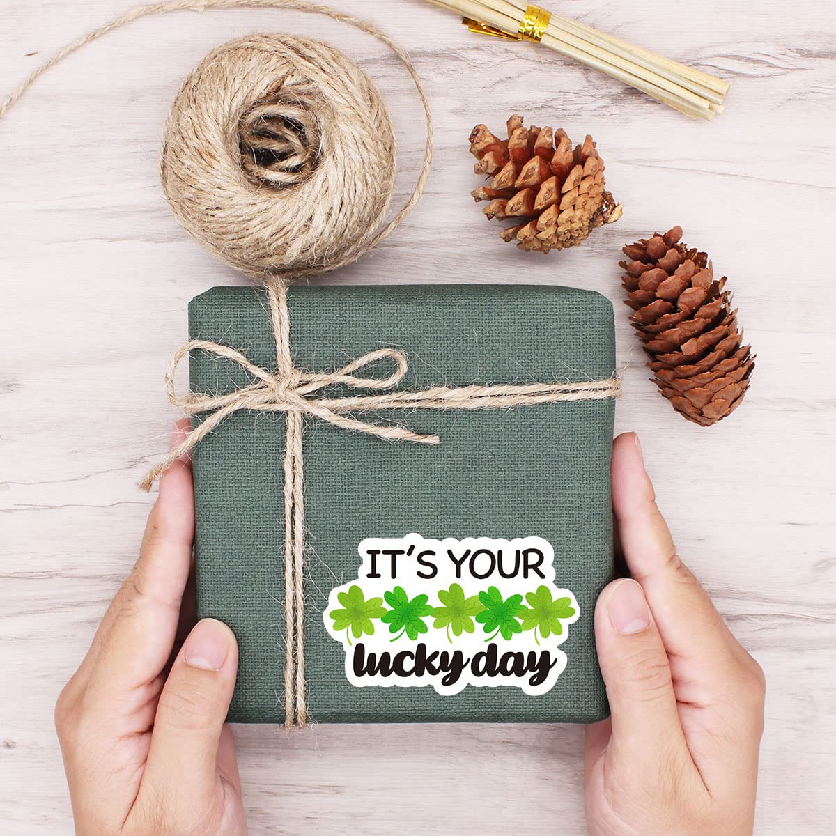 MEYFCLA It’s Your Lucky Day Patrick's Sticker,Cute Small Business Envelopes Stickers for Handmade Goods/Bags Packages ,Patrick's Theme Shop Seals 160 Labels