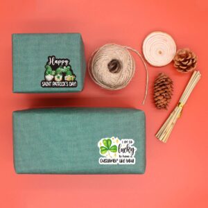 MEYFCLA I Am So Lucky Patrick's Day Sticker,Cute Small Business Envelopes Stickers for Handmade Goods/Bags Business