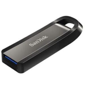 SanDisk Extreme Go 64GB USB 3.2 (2 Pack) Flash Drive for Computer, Laptop (SDCZ810-064G-G46) Type-A Bundle with (1) Everything But Stromboli Lanyard