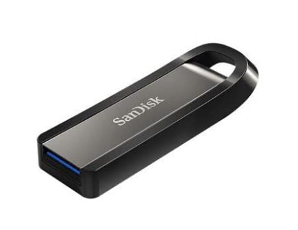 SanDisk Extreme Go 64GB USB 3.2 (2 Pack) Flash Drive for Computer, Laptop (SDCZ810-064G-G46) Type-A Bundle with (1) Everything But Stromboli Lanyard