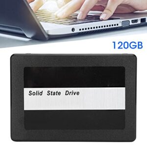 Qinlorgo Solid State Hard Disk, Solid State Drive Firm Sturdy Professional for Laptop Desktop Computer(#3)