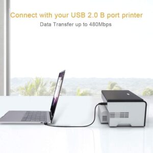 Bundle-2 Items: USB B 2.0 to USB C Printer Cable 6.6 FT, 7-in-1 USB-C Hub Multiport Adapter USB3.0 5Gbps Date Ports