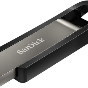 SanDisk Extreme Go 64GB USB 3.2 (2 Pack) Flash Drive for Computer, Laptop (SDCZ810-064G-G46) Type-A Bundle with (1) Everything But Stromboli Lanyard