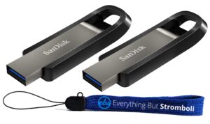 sandisk extreme go 128gb usb 3.2 (2 pack) flash drive for computer, laptop (sdcz810-128g-g46) type-a bundle with (1) everything but stromboli lanyard