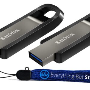 SanDisk Extreme Go 128GB USB 3.2 (2 Pack) Flash Drive for Computer, Laptop (SDCZ810-128G-G46) Type-A Bundle with (1) Everything But Stromboli Lanyard