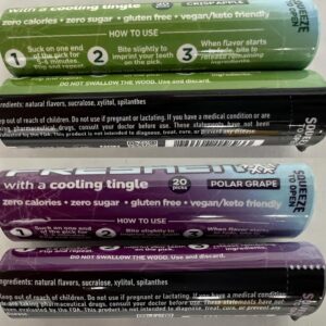 Xero Picks Freshen - Infused Flavored Toothpicks - Cooling Fresh Breath - 100 Picks - 5 Pack - Variety- polar grape, arctic chill, banana ice, berry freeze and crisp apple