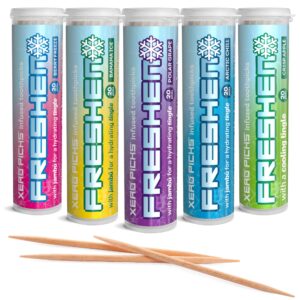 xero picks freshen - infused flavored toothpicks - cooling fresh breath - 100 picks - 5 pack - variety- polar grape, arctic chill, banana ice, berry freeze and crisp apple