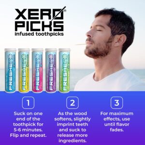 Xero Picks Freshen - Infused Flavored Toothpicks - Cooling Fresh Breath - 100 Picks - 5 Pack - Variety- polar grape, arctic chill, banana ice, berry freeze and crisp apple