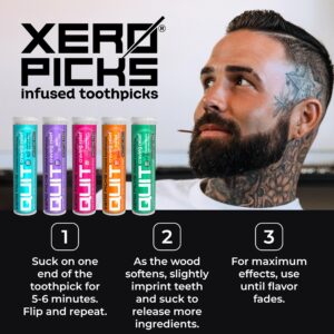 Xero Picks Infused Flavored Toothpicks to Help Quit Smoking - Nicotine Free (Variety Pack, 20 Count (Pack of 5))