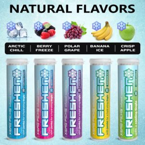 Xero Picks Freshen - Infused Flavored Toothpicks - Cooling Fresh Breath - 100 Picks - 5 Pack - Variety- polar grape, arctic chill, banana ice, berry freeze and crisp apple