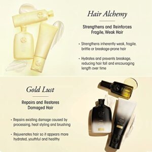 Oribe Hair Alchemy Resilience Shampoo and Conditioner Standard Bundle