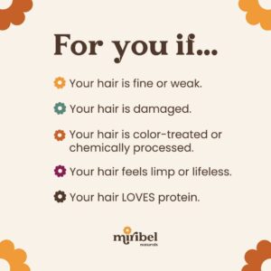 Miribel Powerhouse Protein Cream for Hair, 8 fluid ounces - Repair, Strengthen, and Protect Damaged, Fine, Wavy, or Curly Hair - Vegan, Sulfate-Free, Paraben-Free Leave-In Conditioner and Protein Mask