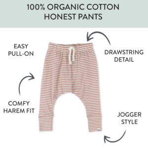 HonestBaby Multipack Honest Pants Joggers Pull on 100% Organic Cotton for Infant Baby and Toddler, Boys, Girls, Unisex, 2-Pack Ombre Blues, 24 Months