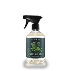 caldrea multi-surface countertop spray cleaner, made with vegetable protein extract, juniper laurel mint scent, 16 oz