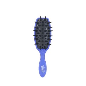 Wet Brush Custom Care Treatment Brush - Purple