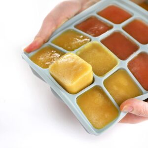 PETINUBE Silicone Freezer Tray, Baby Food Storage Cubes with Clip-On Lid, Freeze Baby Food, Soups, Purees, Ice, Easy and Safe Design, Made in Korea (20, Ocean Blue)