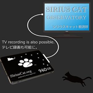 Sirius Cat SSD, 480 GB, Sirius Japan Sirius Cat Collaboration Product, 2.5 Inch, SATA 3, 6.0 Gb/s, SCD-480G