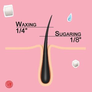 Sugaring Waxing - Hair removal paste for home use for beginners Brazilian Bikini, Legs, Arms (kit with Sugaring Drying powder, Anti-Ingrown Solution by Sugaring NYC).