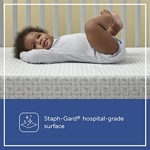 Sealy Butterfly 2-Stage Dual Firm Antibacterial Foam Baby Crib Mattress & Toddler Bed Mattress, Hypoallergenic Waterproof Memory Foam Crib Mattress, GREENGUARD GOLD Certified,Made in USA,52"x28",White