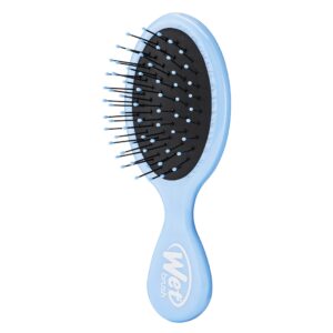 Wet Brush Squirt Detangling Brush, Sky - Mini Detangler Brush, No Tangle Ultra-Soft IntelliFlex Bristles, Wet & Dry Styling Hair Brush for Women & Men, All Hair Types