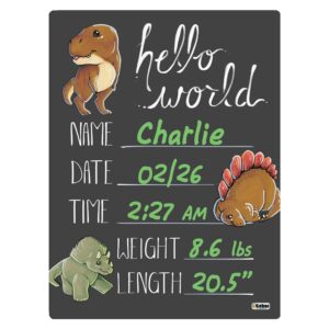 Cohas Hello World Newborn Baby Announcement Chalkboard Sign with Dinosaur Theme, 9 by 12 Inches, Green Marker