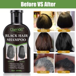 Black Hair Shampoo, Hair Dye Shampoo, Hair Darkening Shampoo, Reverse Grey Hair Shampoo, Hair Growth Shampoo, Black Hair Color Shampoo for Women Men Cover Gray White Hair, Restore Lustrous and Shiny Hair