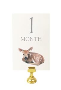 weekend paper co.™ baby animals milestone cards, baby monthly marker for an expecting mother or new mother, baby gifts or shower registry.