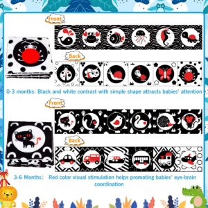 Baby Toys 0-6 Months - Montessori Sensory Toys for Babies 0 3-6 9 Months - 2 Packs Black and White High Contrast Soft Book for Early Learning - Tummy Time Infant Newborn Toys Boys Girls Baby Gifts