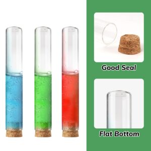 BTSD-home 20pcs Glass Test Tubes 20x120mm 25ml Clear Flat Test Tubes with Cork Stoppers for Plant Propagation, Party and Candy Storage