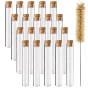 btsd-home 20pcs glass test tubes 20x120mm 25ml clear flat test tubes with cork stoppers for plant propagation, party and candy storage