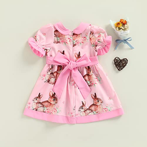 Toddler Baby Girl Bunny Dress Easter Outfit Ruffle Sleeve Peter Pan Collar Princess Dress Cute Easter Clothes (2-3T,Bunny Print)