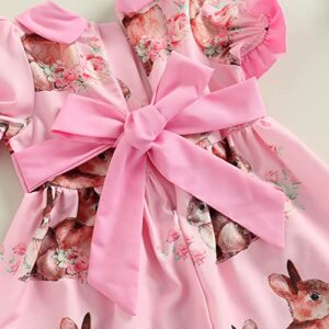 Toddler Baby Girl Bunny Dress Easter Outfit Ruffle Sleeve Peter Pan Collar Princess Dress Cute Easter Clothes (2-3T,Bunny Print)