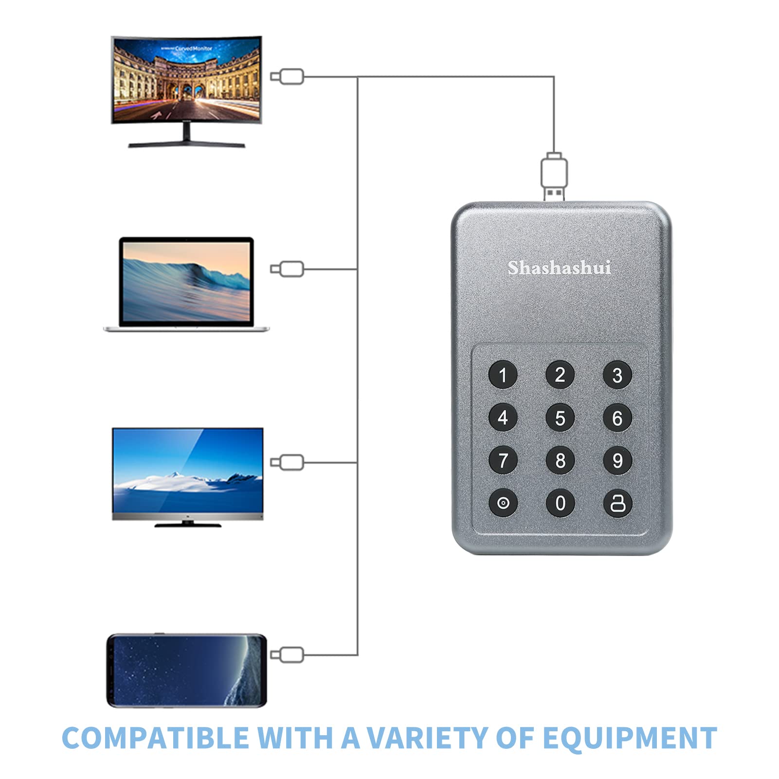 sasashui Encrypted Hard Drive AES256 encrypted Hard Drive with Password (1TB)