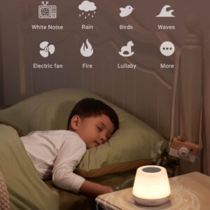 Lyridz Nursery Night Light for Babies, LED Rechargeable Bedside Touch Sensor Lamp for Kids Breastfeeding, 2 Colors Dimmable Egg Night Light, Timer, 2500mAh Lithium Battery