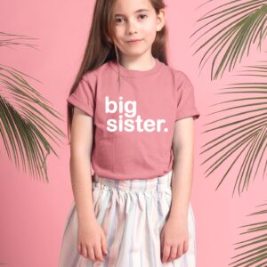 Big Sister Shirt Outfit Announcement Toddler Sibling Reveal to be 18 Months 2t 3t (2 Years, Mauve)