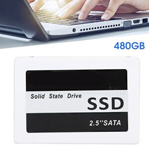 Entatial Solid State Drive, Good Performance Video Storage Solid State Disk Portable Firm Sturdy for Laptop Desktop Computer(#5)