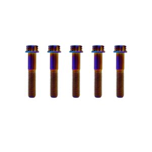 RISON Titanium Bolts M8*1.25 * 35 Torx Titanium Bolts for Motorcycles Hex Head Dual Drive Burnt Blue Titanium Flange Bolt Pack of 5