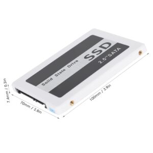 Entatial Solid State Drive, Good Performance Video Storage Solid State Disk Portable Firm Sturdy for Laptop Desktop Computer(#6)