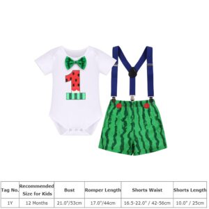 Watermelon 1st Birthday Outfit Boy Baby Cake Smash One in a Melon Gentleman Bowtie Romper Suspenders Toddler Bloomers Shorts First Watermelon Birthday Party Supply for Photo Shoot Clothes 1 Year