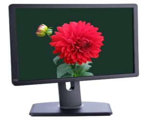 dell p1913t wide screen 19 inch desktop computer tower monitor for home office, led backlit display, (vga, display, dvi ports) 5ms response time (renewed)