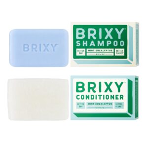 brixy balancing shampoo and conditioner bar set - controls oil and hydrates strands, all hair types, ph balance, color safe, removes build up, vegan, plastic free