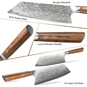 Damascus Kitchen Knife Set, 3 Pieces Japanese Style Kitchen Knives 67 Layer Forged Damascus VG10 Steel, lightweight Wood Ergonomic Handle for Cooking Knives Set