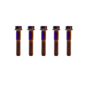 RISON Titanium Bolts M10*1.25 * 35 Torx Titanium Bolts for Motorcycles Hex Head Dual Drive Burnt Blue Titanium Flange Bolt Pack of 5