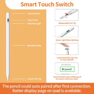 Stylus Pen for iPad with Palm Rejection Stylus Pencil Compatible with iPad Pro 12'3/4/5 Gen and iPad Pro 11'',iPad Mini 6th Gen, iPad Air 3/4/5, iPad Mini 5/6th, iPad 6/7/8th Gen