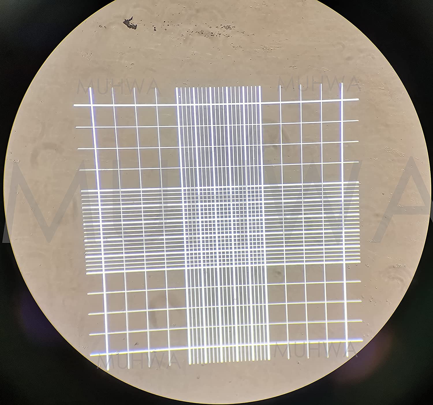 LS Improved Neubauer Hemocytometer Blood Counting Chamber Cell Counting Chamber