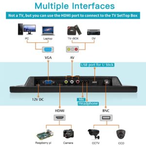 Thinlerain Small 13.3 inch Monitor HDMI Monitor 1366x768 LED Display Support HDMI VGA AV BNC USB Intput for PC Laptop Computer Home Kitchen Monitor, Built-in Speaker