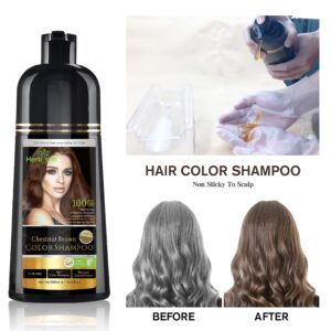 Herbishh Hair Strengthening Combo Contains Chestnut Brown Hair Color Shampoo, 500ml + Argan Oil for Hair, 30ml (For Damage Repair & Frizz Control)